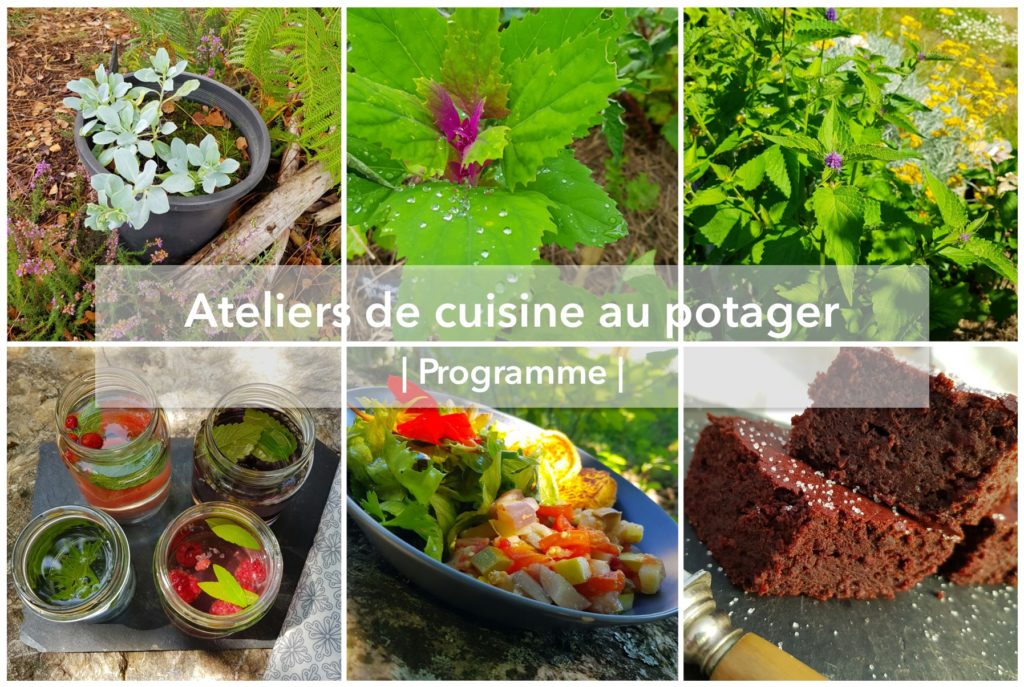 Cuisiner au potager - Ma Cuisine a du Sens